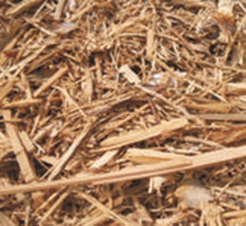 Home [www.werkmantransport.ca]